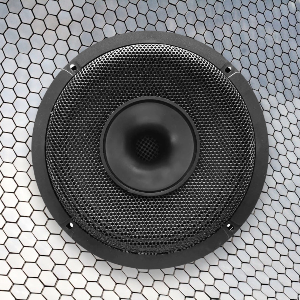 QUANTUM AUDIO 8" PRO COAX (Weather Treated) PAIR — RHYNO AUDIO WORKS